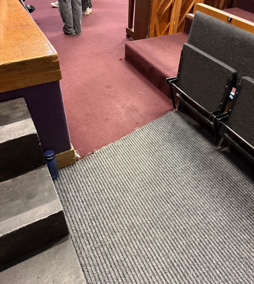 Logan Park Auditorium : Dunedin Fringe Festival