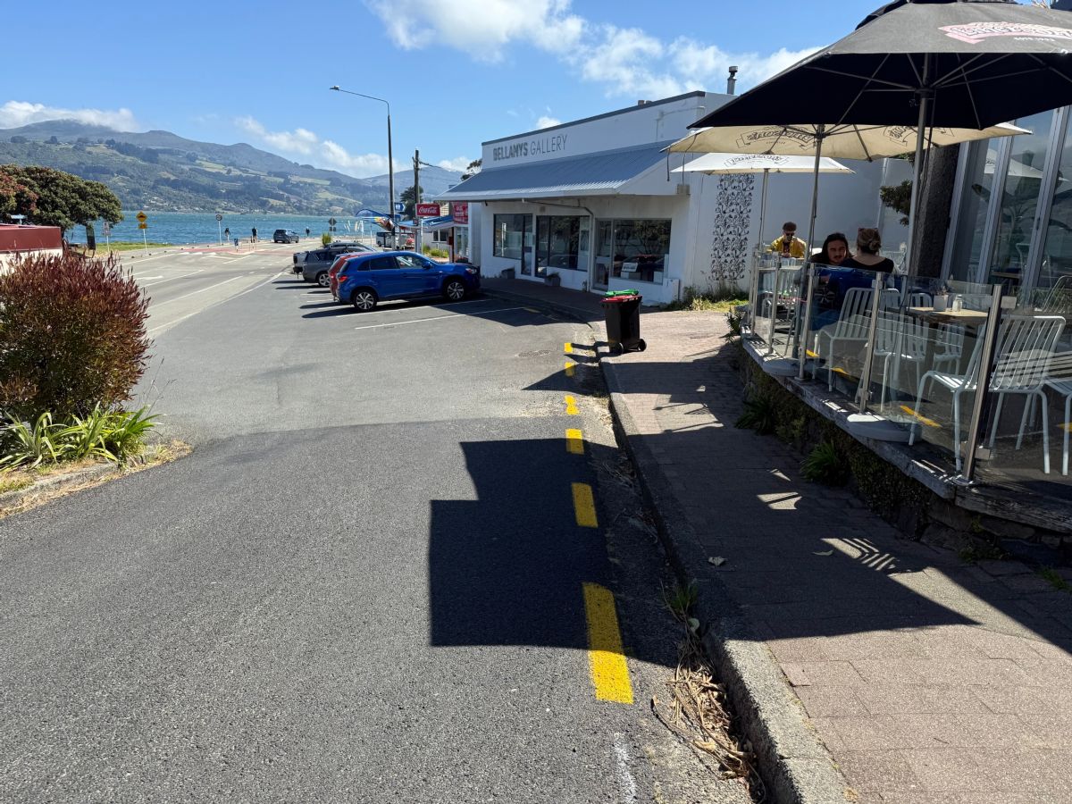 The Duck : Dunedin Fringe Festival