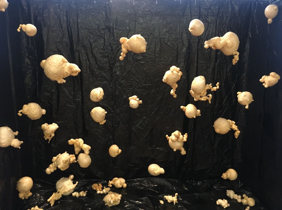 Current Exhibition at White Box