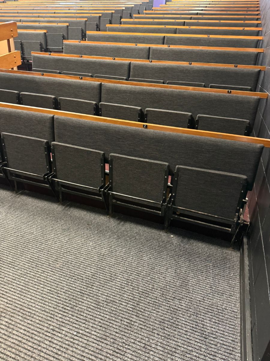 Logan Park Auditorium : Dunedin Fringe Festival