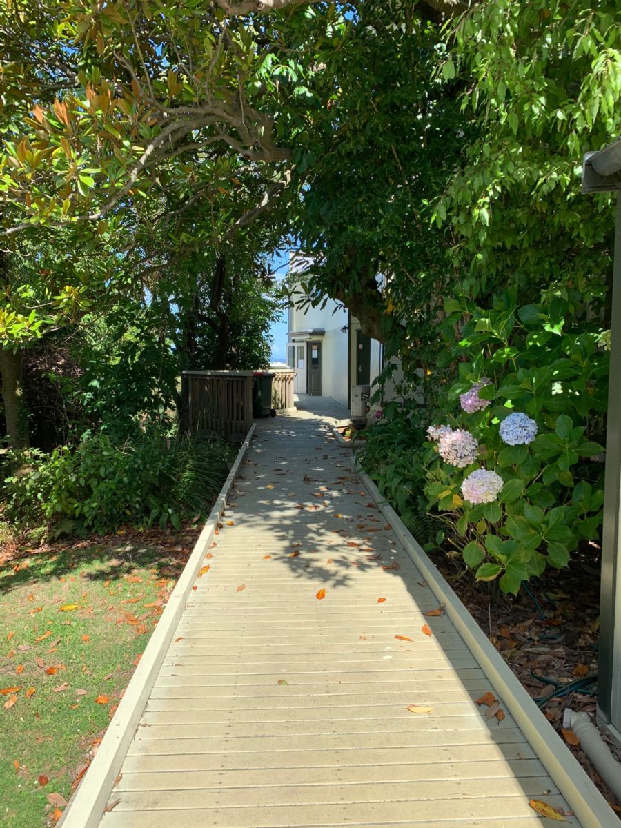 The Globe Theatre : Dunedin Fringe Festival